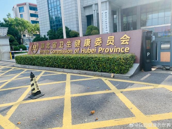 湖北省数字卫健
