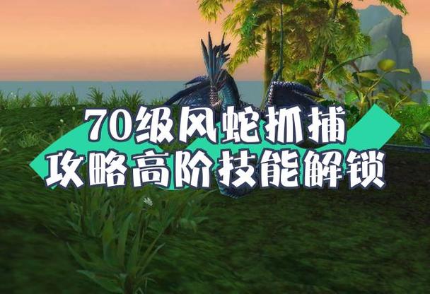 风蛇的加速技能哪里学截图
