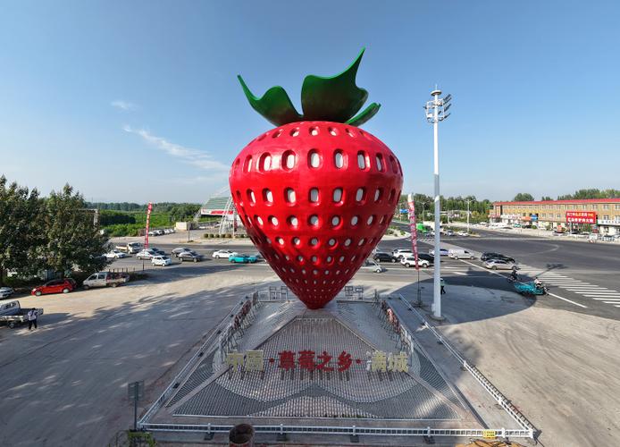 满城大草莓图片真实图标