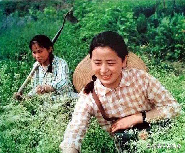 怀了回城知青的崽顾青衍夏梦图标