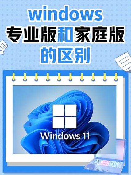 windows家庭版和专业版图标