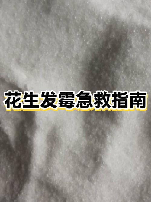 砧板发霉了怎么办图标