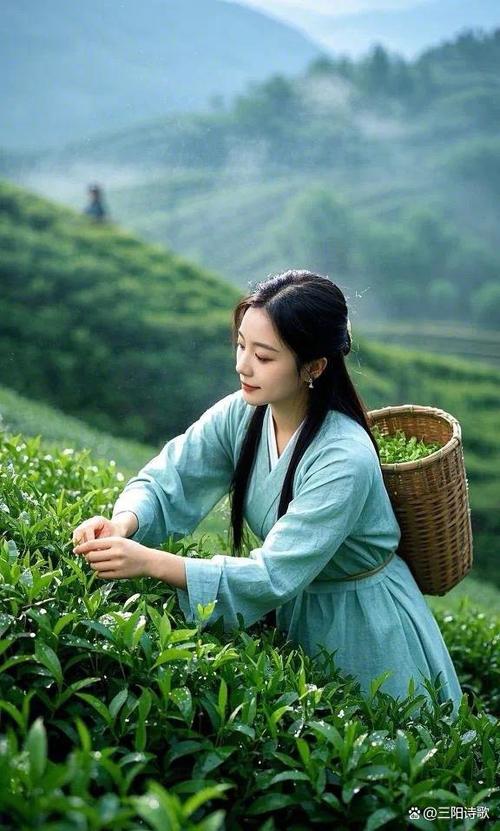 女子才貌双全七绝诗