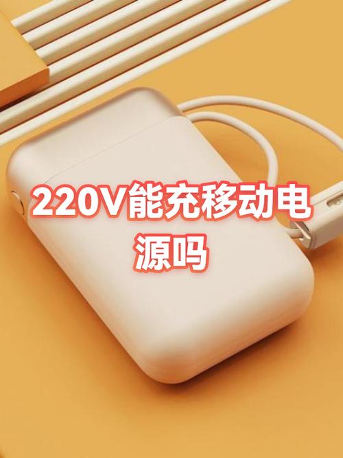 充电宝充了两天有事吗图标