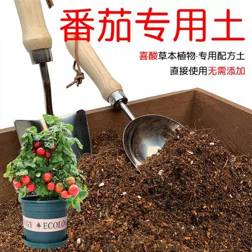 盆栽番茄用什么土图标