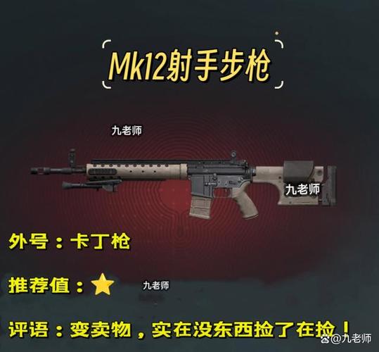 mk12射手步枪图标