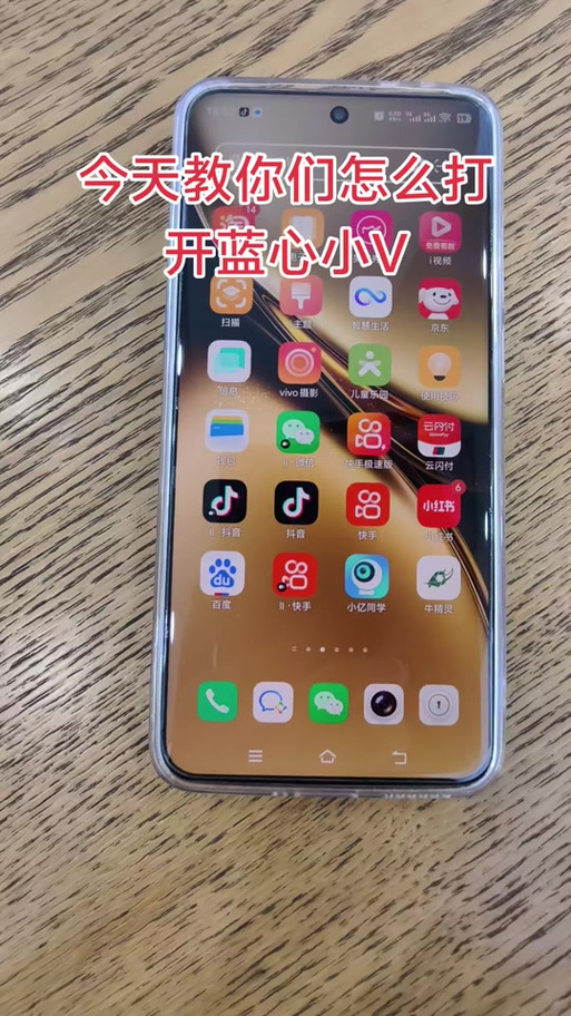 蓝心小v5.1.22图标