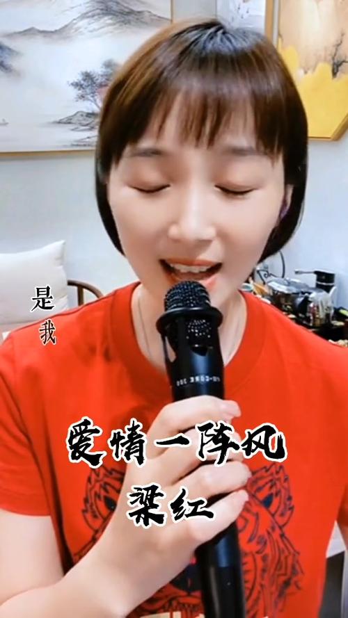 梁红全部歌曲图标