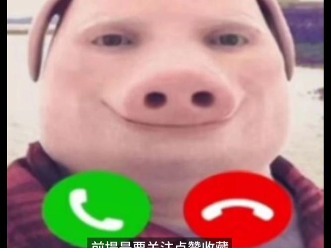 我的世界盒子为什么不能用了截图
