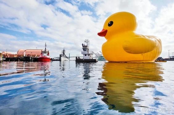 duckduckgo国内能用吗
