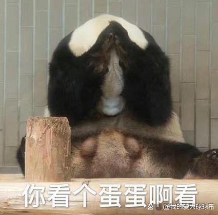 捏睾丸表情包图标