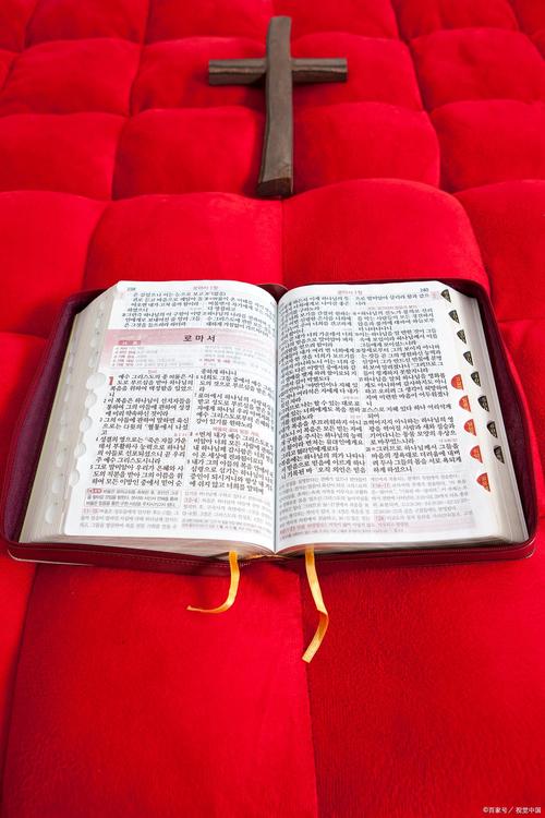 圣经正版图标