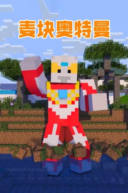 麦块mod怎么用图标