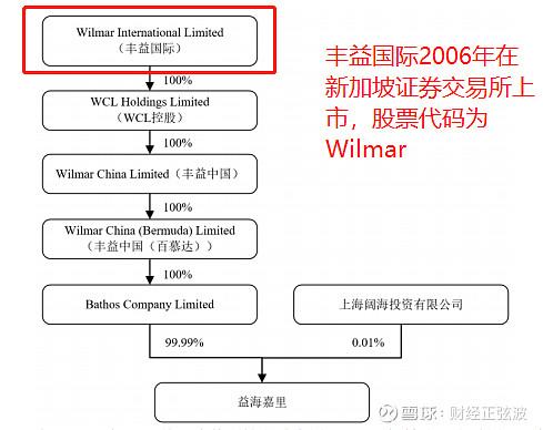 丰益国际总资产多少亿图标