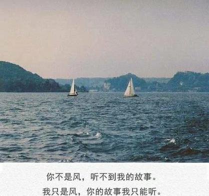 不想碰感情了的下一句图标