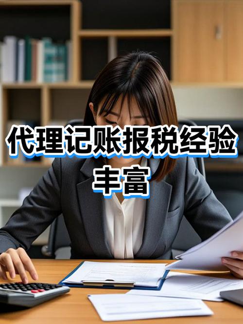 自记账app报税靠谱吗截图