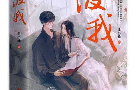 渡我小说图标