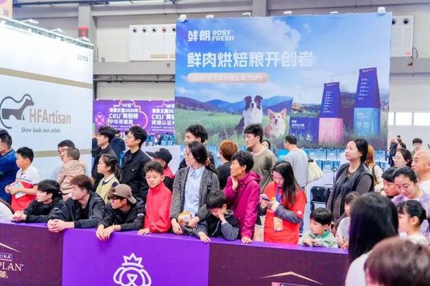 宠爱王国 面试缩略图