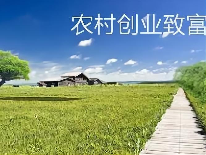 致富创业网图标