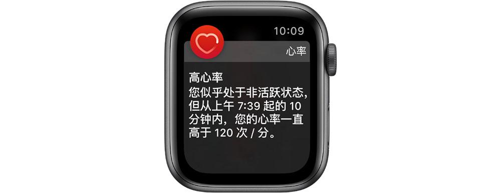 苹果手表心率检测频率设置图标