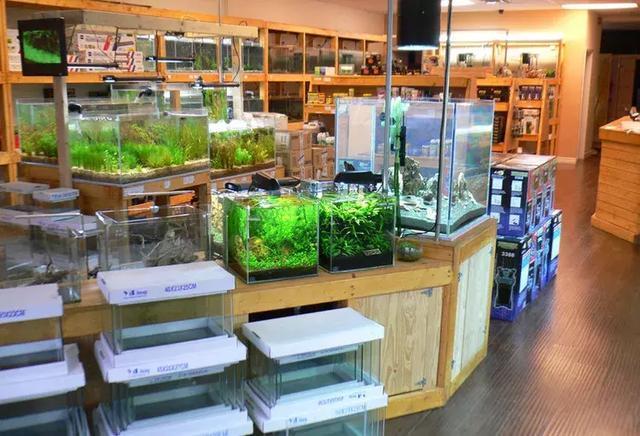 水族馆生意好做吗截图