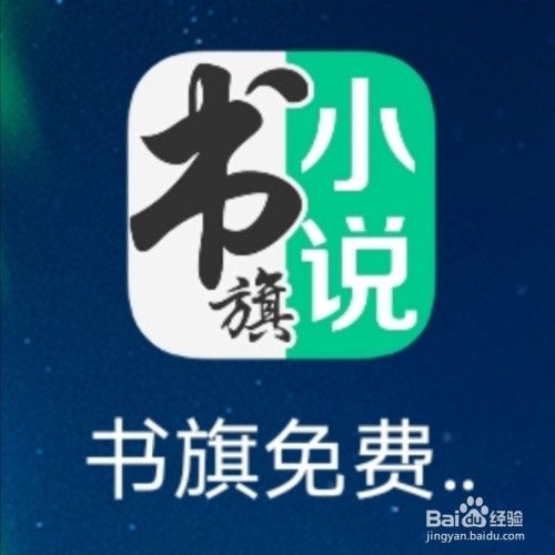 书旗小说广告投放WZ图标