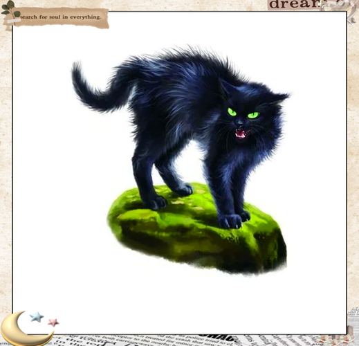 猫武士Wiki图标