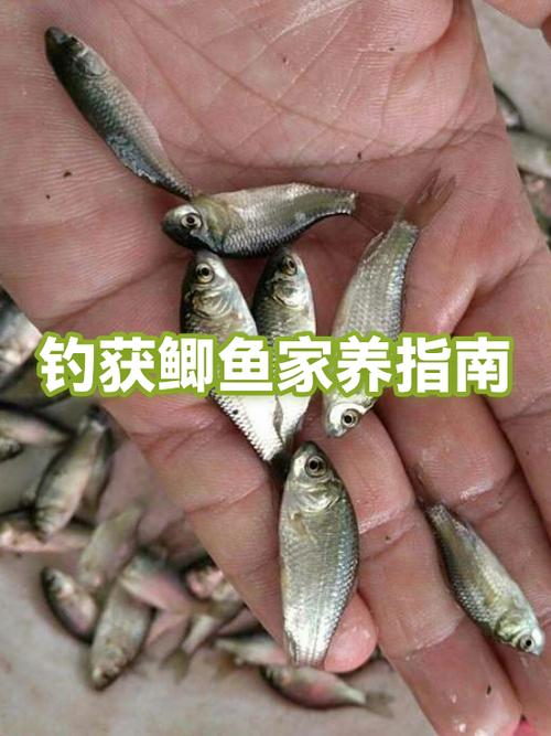 南京垂钓中心钓鱼价格图标