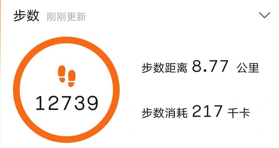 手环和手机步数叠加图标