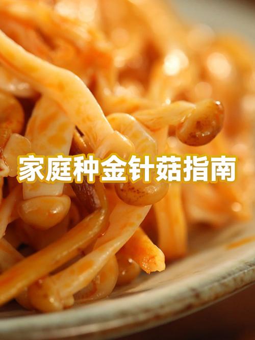 金针菇最忌三种蔬菜图标