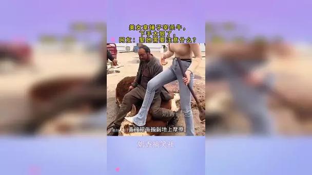 农村锤子宰牛视频