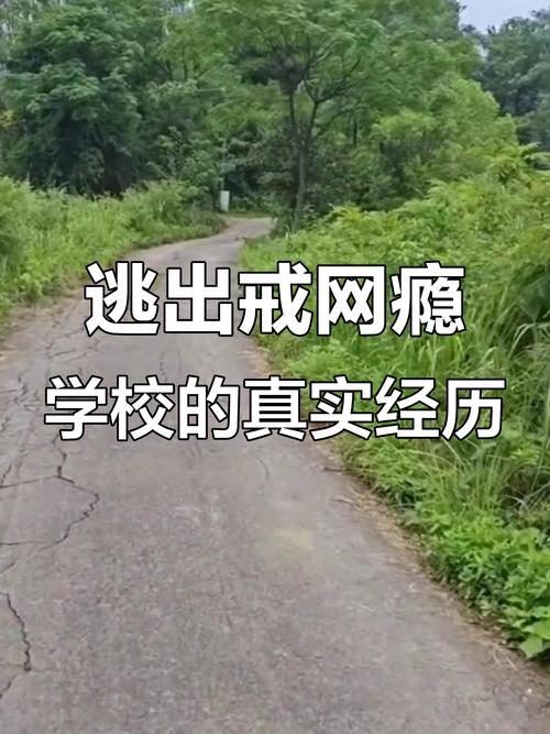 假期期间取消校园网的后果截图