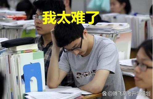 高考后绑定白富美系统图标
