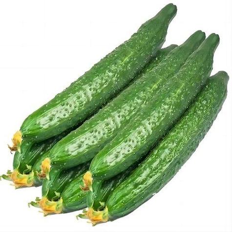 青瓜图标