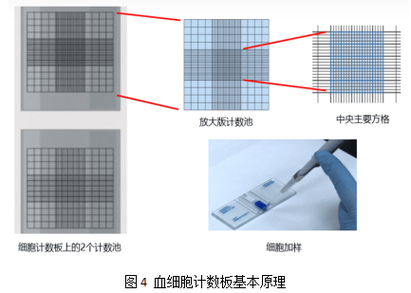 血rt医学全称图标