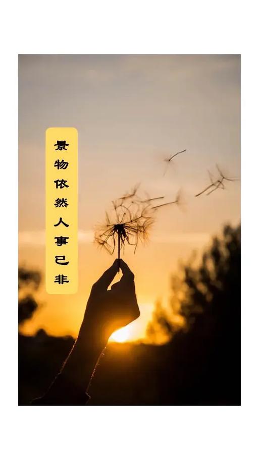 物是人非今犹在,不见当年还复来截图