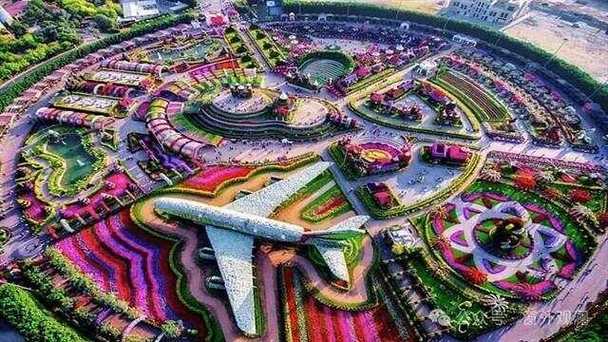 奇迹花园在哪截图