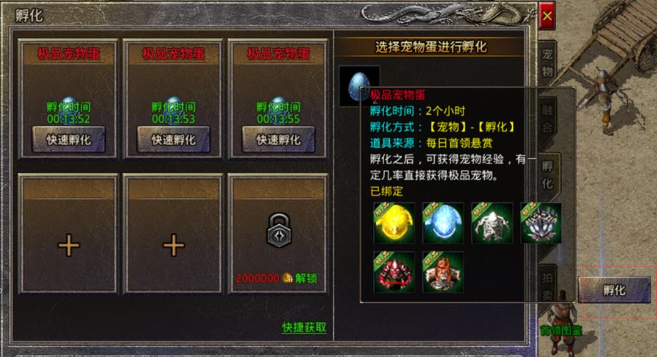 奇迹宠物系统图标