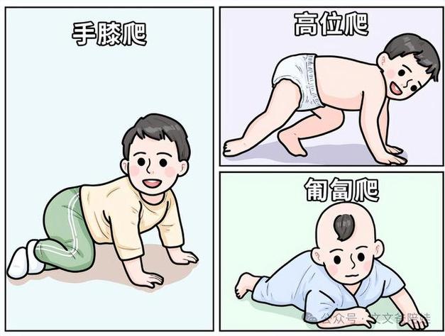 爬行姿势的6种类型图标