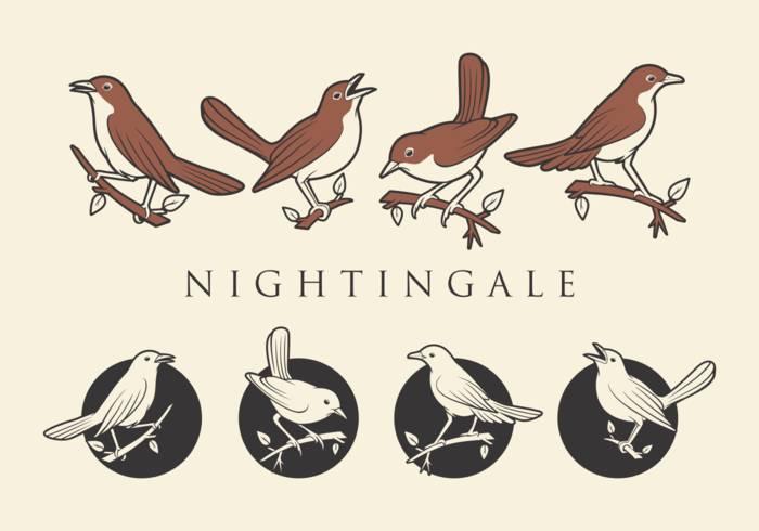 nightingale的象征意义图标