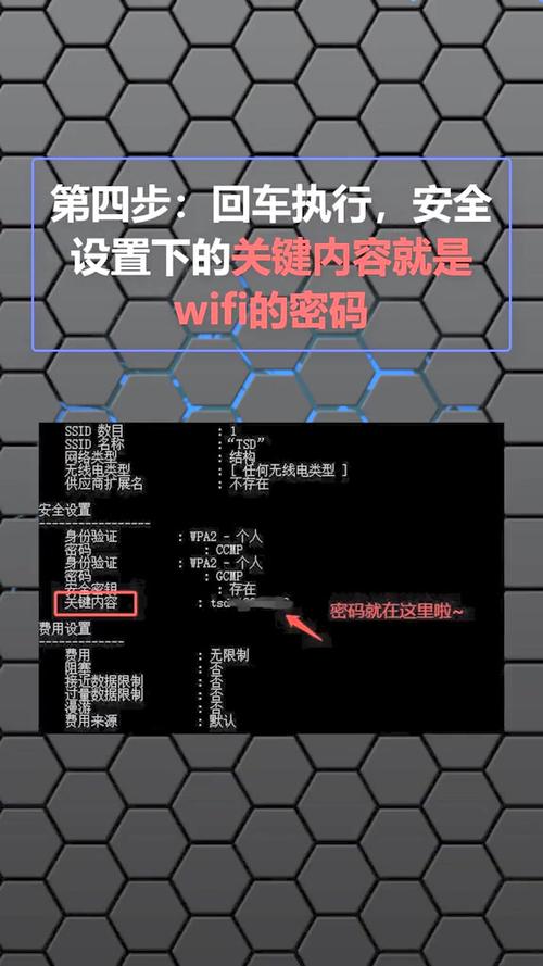找回wifi密码图标