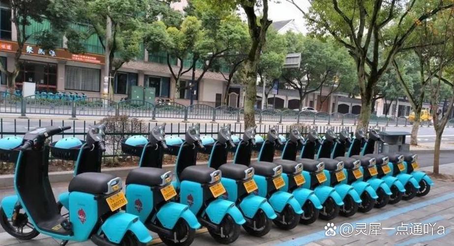松果出行是什么图标