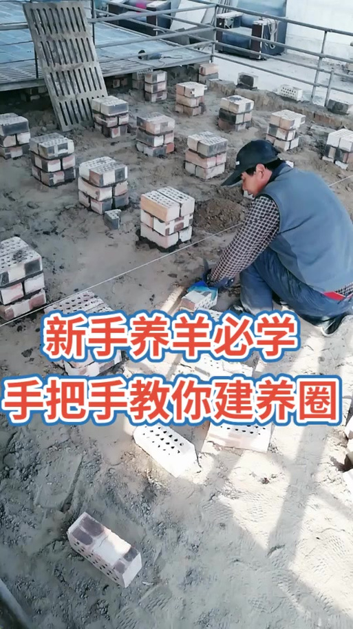 羊圈的最新搭建方法截图