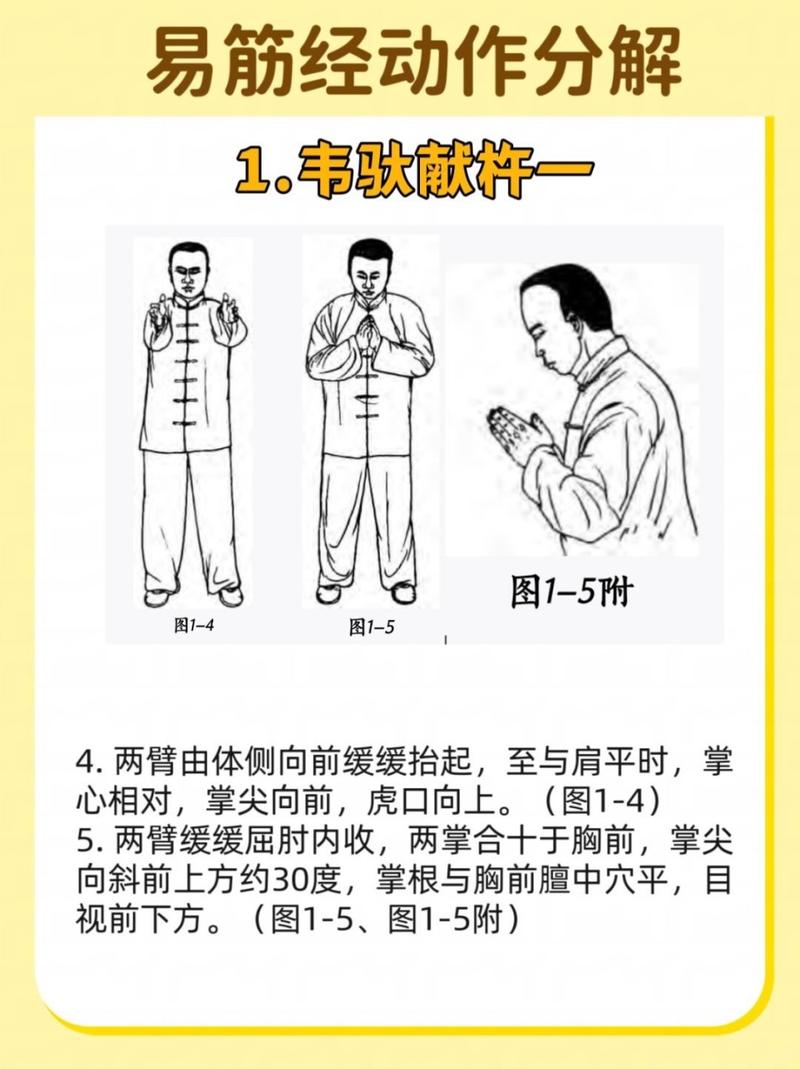 易筋经功法十二式图标