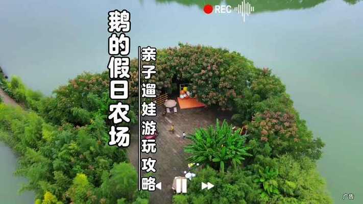 鹅农场app