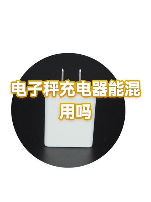 电子秤可以一边充电一边用吗图标