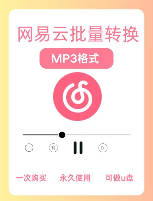 网易云音乐转换成mp3图标