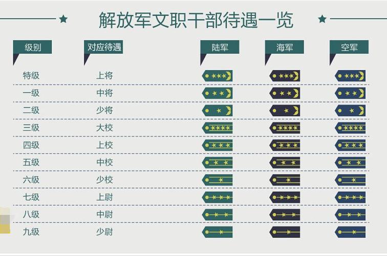 军医最高军衔图标