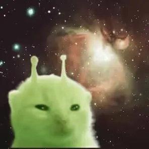 一只由外星人化身的猫截图