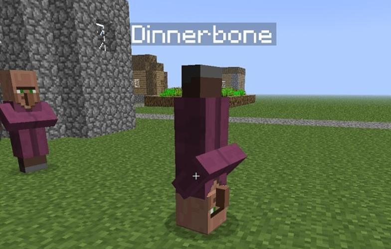 我的世界dinnerbone皮肤图标